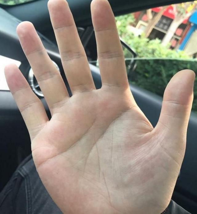 罕见的富贵手相标准金房子手相图片大老板手相第2页大山谷图库